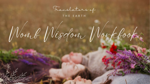 Womb Wisdom Workbook | IFW