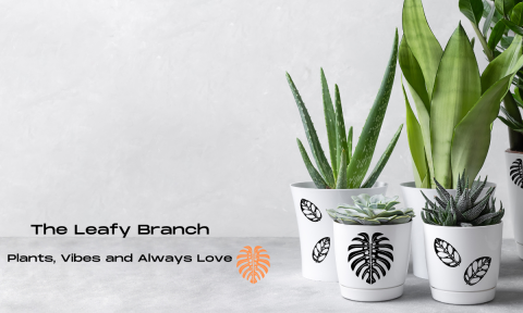 The Leafy Branch- Plant Vibes & Community | IFW