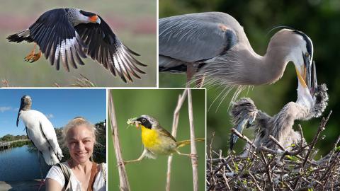 Increase Bird Awareness through Creativity | IFW