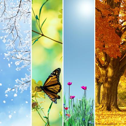 I have something for every season! | IFundWomen